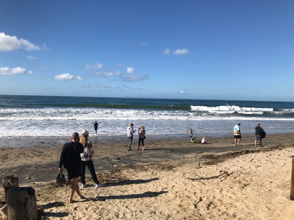 The Beachcomber at Crystal Cove - Newport Coast, CA
