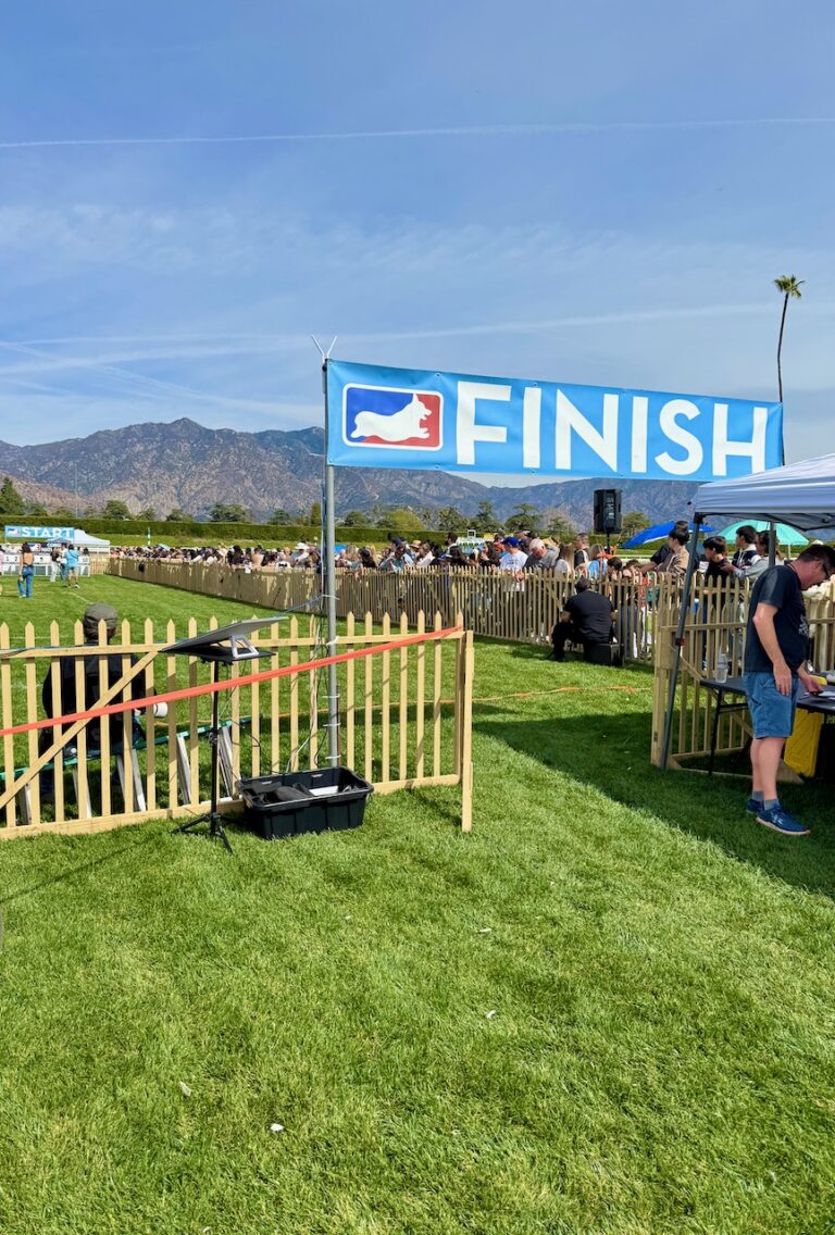 Winter Corgi Nationals at Santa Anita Park - Arcadia, CA - The Global ...